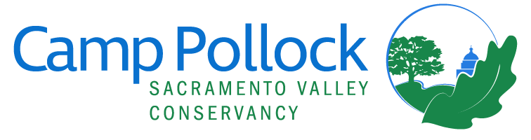 Camp Pollack - Eventsured